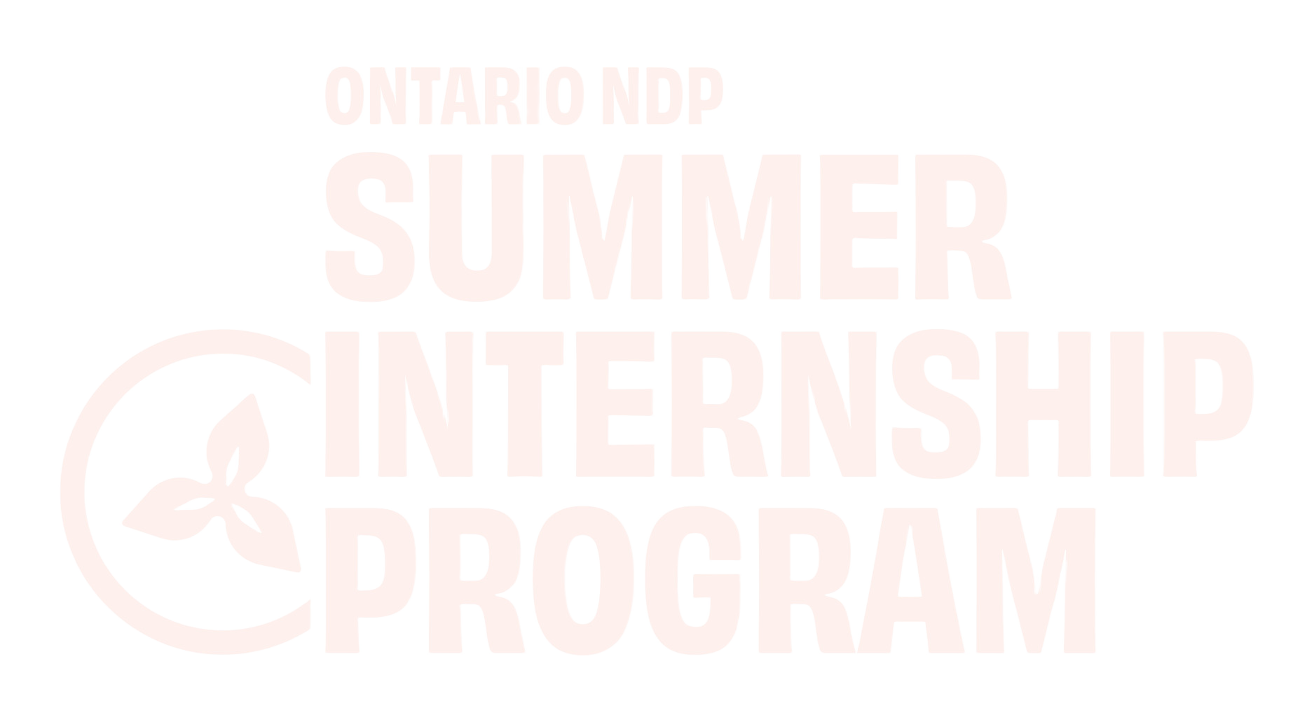 Ontario NDP Summer Internship Program